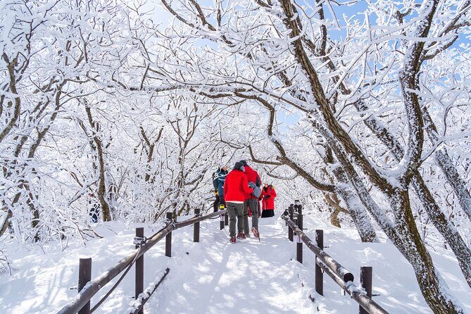 Private Winter Blossom Photo Tour with Free Photo Service - Who Will Love This Tour?