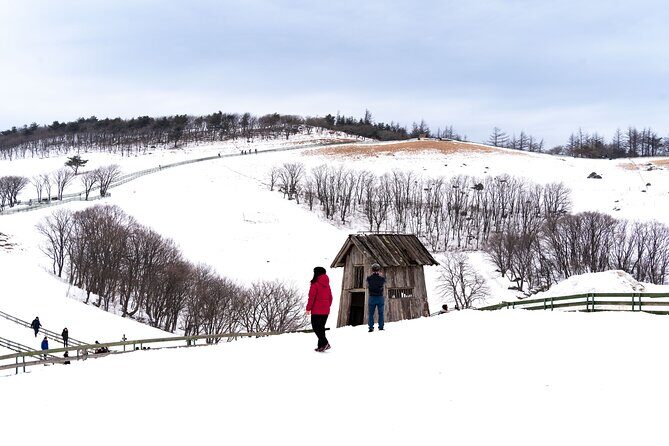 Private Winter Blossom Photo Tour with Free Photo Service - FAQ