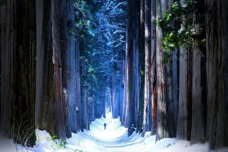 Private Winter Togakushi Tour: Snow, Shrine, & Cedar Trees - Key Points