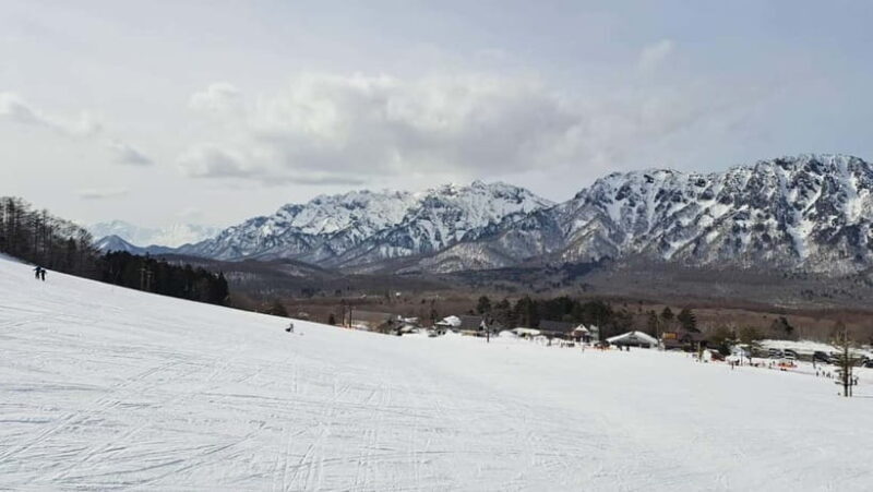 Private Winter Togakushi Tour: Snow, Shrine, & Cedar Trees - Who Will Enjoy This Tour Most?
