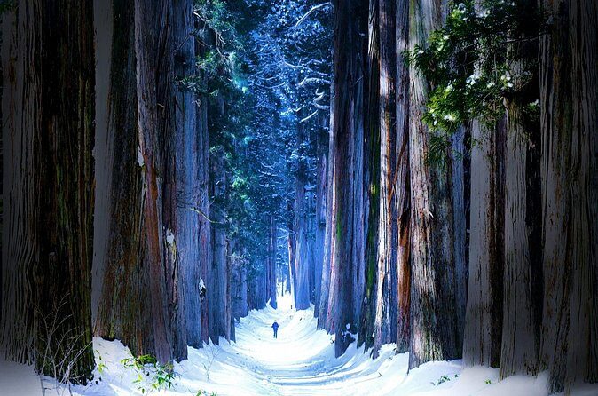 Private Winter Togakushi Tour with Snow Play - Final Thoughts