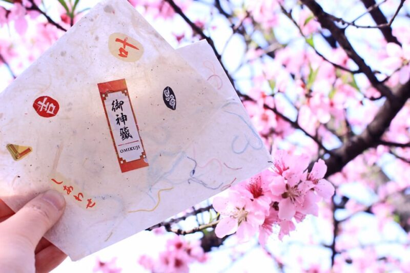 Private Workshop - Handmade Traditional Japanese Paper, Ueno - What is the Workshop All About?