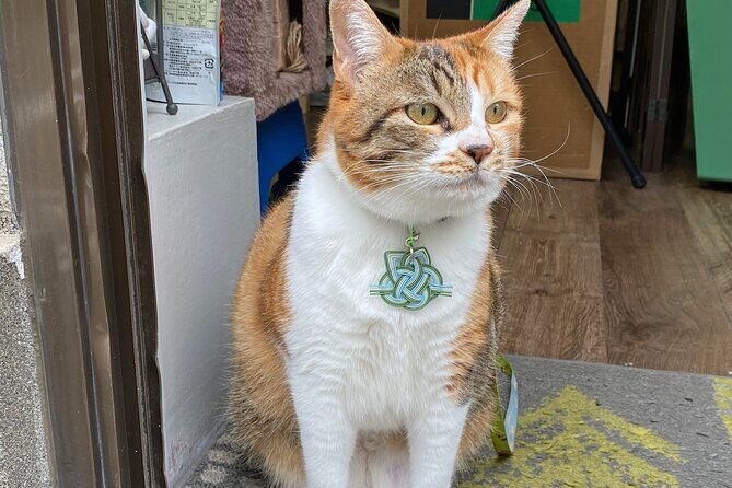 Private Workshop of Handmade Traditional Japanese Paper in Tokyo - Final Thoughts: Who Will Appreciate This Tour?