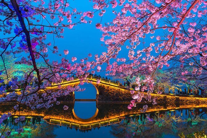 Private Wuxi Day Tour from Shanghai by Bullet Train - An Authentic Day in Wuxi: What’s Included and What to Expect