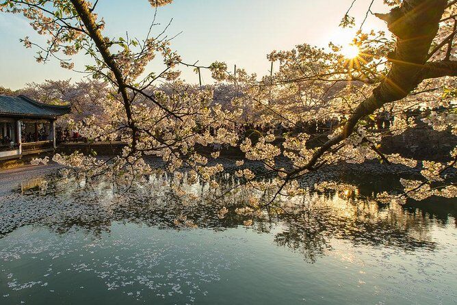 Private Wuxi Day Tour from Shanghai by Bullet Train - Why This Tour Offers Great Value