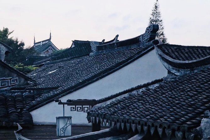 Private Wuzhen Water Town Day Tour from Hangzhou - Detailed Breakdown of the Experience