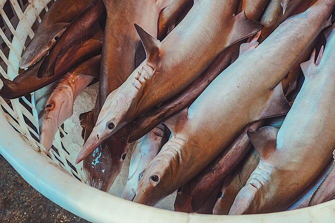 Private Xiamen Sea Food Market & Zhongshan Road Shopping and Eating Experience - An In-Depth Look at the Itinerary