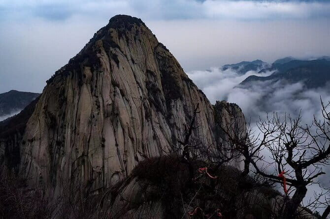 Private Xi'an 3-Day Highlights Tour and Panda Protection Park - A Deeper Look at Each Day’s Highlights