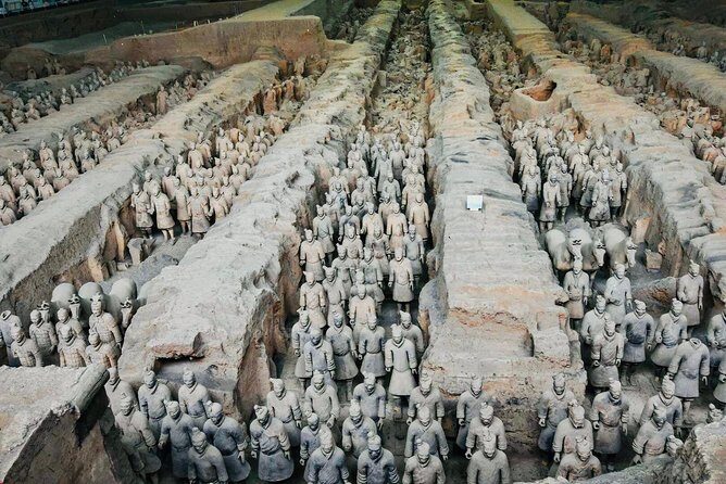Private Xi'an Driver Service to Terracotta Army - What Tourers Say About This Service