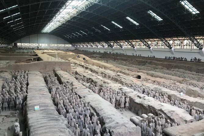 Private Xi'an Driver Service to Terracotta Army - Analyzing the Price and Value