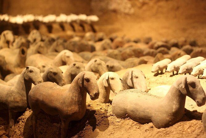 Private Xi'an Tour: Terracotta Warriors, Hanyangling Museum, Cave Homes - What Travelers Are Saying