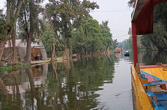 Private Xochimilco Boat Ride, Food & Mariachi from Mexico City - Final Thoughts: Who Is This Tour Best For?