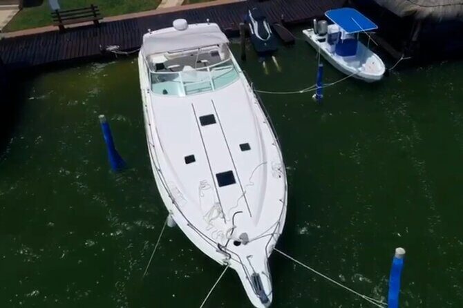Private Yacht 46ft Sea Ray Snorkel up to 15 pax 23P2 - Who Should Consider This Tour?