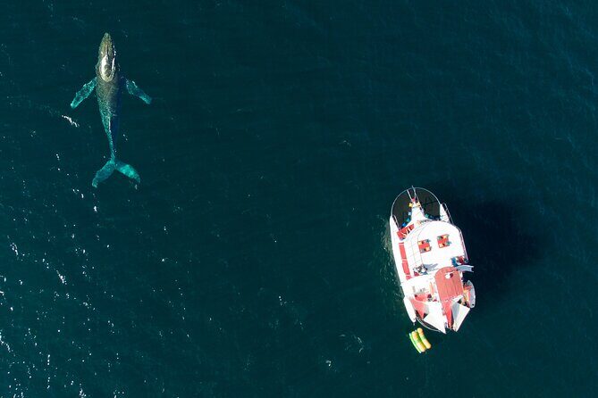 Private Yacht Charter ChicaFUN 3 Waterslides All Inclusive - An In-Depth Look at the Experience