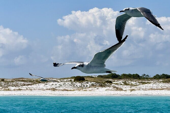 Private Yacht Charter on The Whiskey from Sandestin - The Sum Up