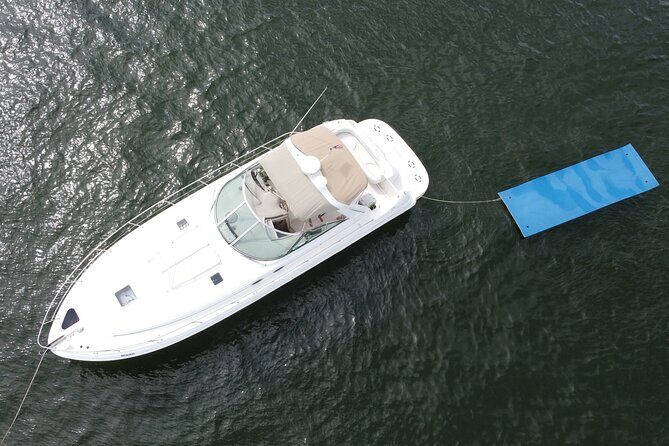 Private Yacht Rental Miami, Customizable Tours, Dolphin Watching - Pricing and Value