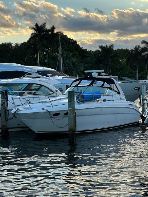 Private  Yacht Rentals  4h  Champagne gift - Practical Tips and Considerations