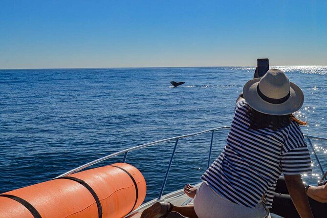 Private Yacht, Snorkeling or Sunset in Cabo San Lucas - Why This Tour Offers Good Value