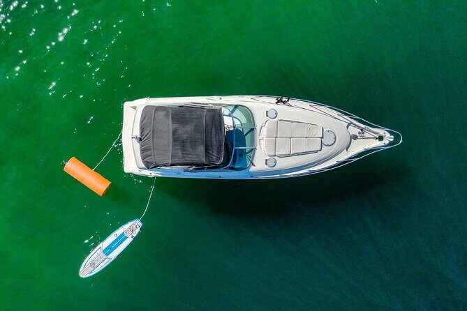 Private Yacht, Snorkeling or Sunset in Cabo San Lucas - Summary