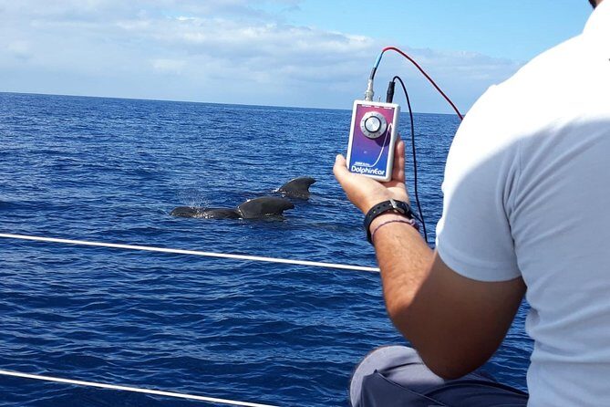 Private Yacht Tour With Whale and Dolphin Watching 42 Foot Boat - Who Is This Tour Best For?