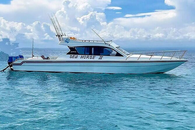 Private Yacht Trip Tour Bali - 8 Hours Day Trip Nusa Penida - SH2 - Exploring This Bali Yacht Trip: An In-Depth Look