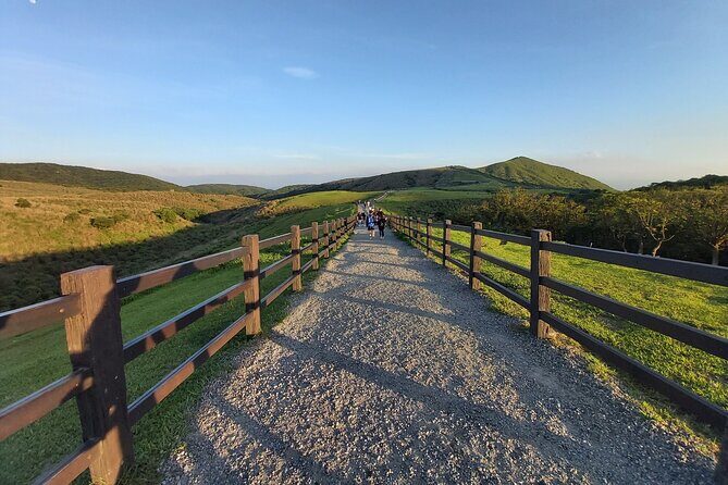 Private Yangmingshan Hiking Day Tour from Taipei - What to Expect From the Experience