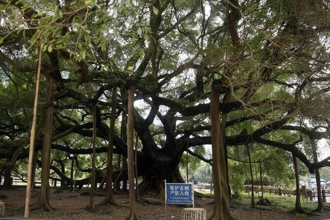 Private Yangshuo Tour: Xianggong Hill, Bamboo Raft and Cycling - FAQ About the Yangshuo Private Tour