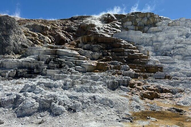 Private Yellowstone Park Van Tours from Bozeman and Big Sky - An In-Depth Look at the Experience