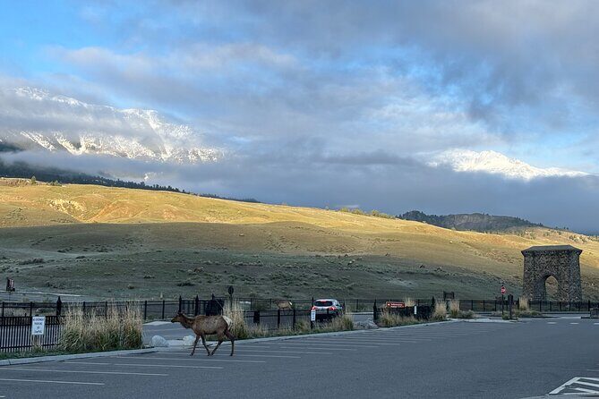 Private Yellowstone Park Van Tours from Bozeman and Big Sky - FAQ