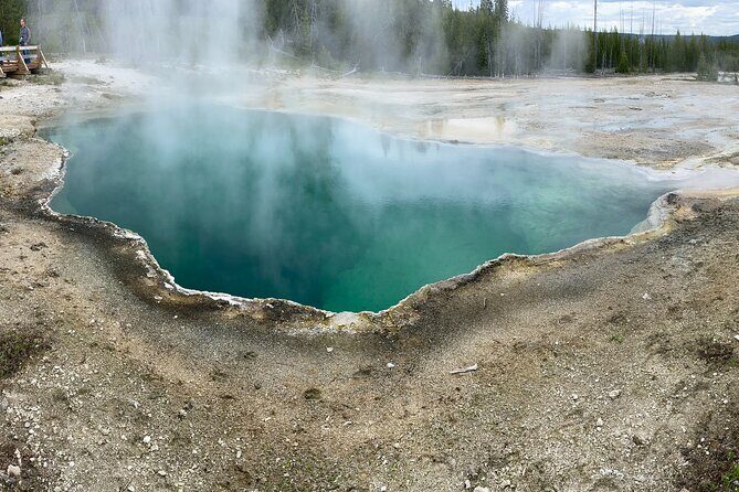 PRIVATE Yellowstone Tour 4 or more people- Picnic, Binoculars, Spotting Scope - Value and Cost: Is It Worth it?