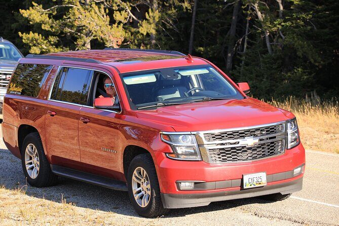 Private Yellowstone Tour: ICONIC Sites, Wildlife, Family Friendly Hikes + lunch - Who Would Love This Tour?