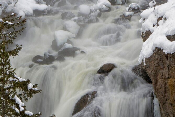 Private Yellowstone Winter Wolf Watching and Wildlife Safari - Is This Tour Right for You?