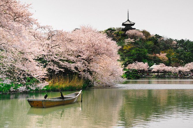 Private Yokohama Family Tours with Local Guides 100% Personalized - FAQs