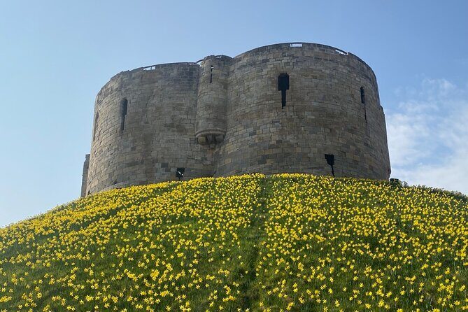 Private York History Walking Tour - Authentic Reviews: What Past Participants Say