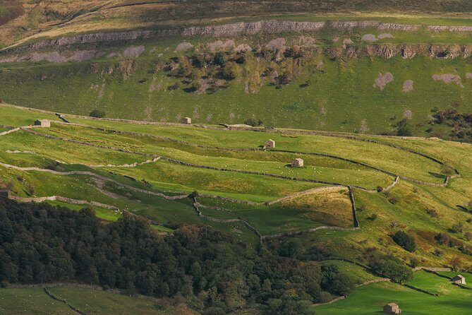 Private Yorkshire Dales from Windermere in a 16 seater Mercedes - Who Is This Tour Best For?