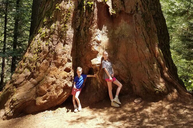Private Yosemite Explorer Package | 3 Days of Adventure - The Value of the Experience