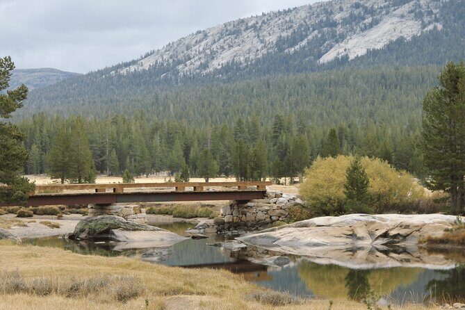 Private Yosemite National Park Day Trip from San Francisco - Is it Good Value for Money?