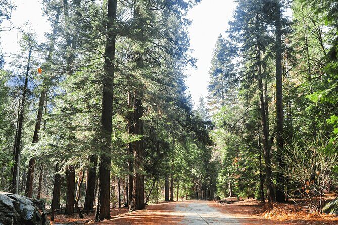 Private Yosemite National Park Day Trip from San Francisco - Summary of the Experience