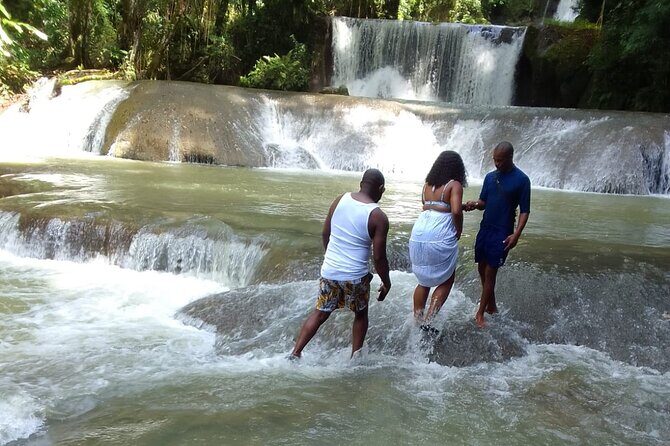 Private YS Falls and Appleton Estate Rum Tour from Montego Bay - A Practical Guide to the Tour