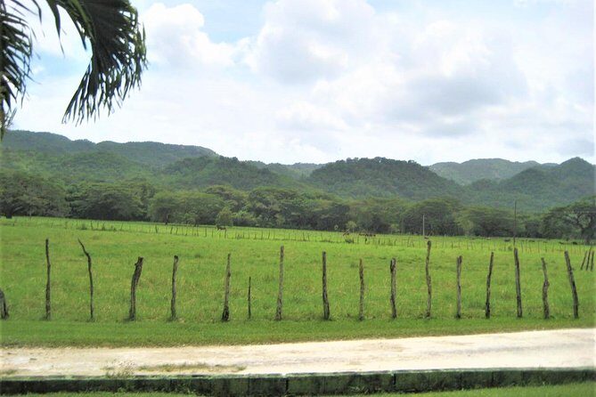 Private YS Falls and Black River Safari from Montego Bay and Grand Palladium - Who Will Appreciate This Tour Most?