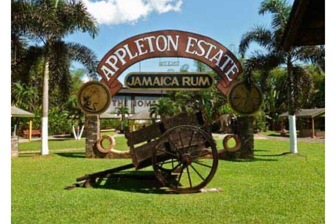 Private YS Falls & Appleton Estate Rum tour from Montego Bay - What Travelers Say