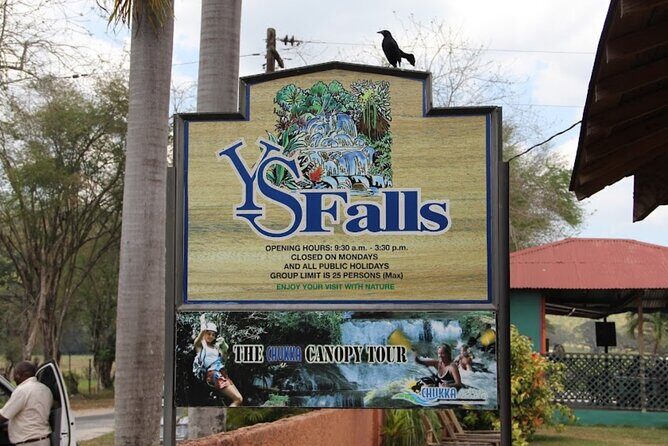 Private YS Falls & Appleton Estate Rum tour from Montego Bay - Final Thoughts
