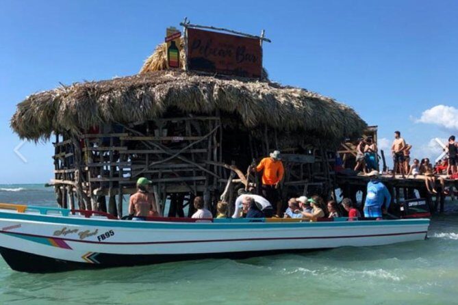 [PRIVATE] YS Falls, Black River, Pelican Bar - Entrance & Lunch - An Overview of the Tour Experience