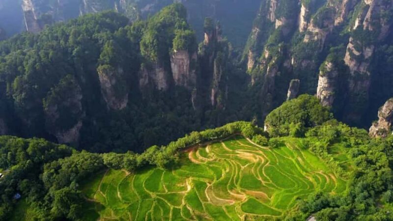 Private Zhangjiajie: Glass Bridge, Terraces & Avatar - What to Expect from Your Zhangjiajie Tour