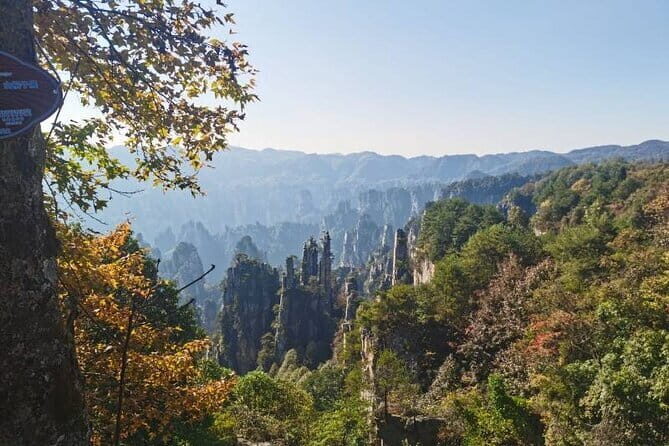 Private Zhangjiajie National Forest Park Day Tour - Key Points