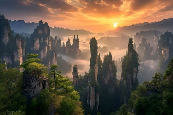 Private Zhangjiajie National Forest Park Day Tour - Authentic Feedback from Travelers