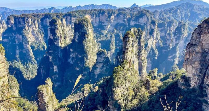 Private Zhangjiajie Tour: Avatar Mountains & Glass Bridge - Morning Pickup and Zhangjiajie National Forest Park