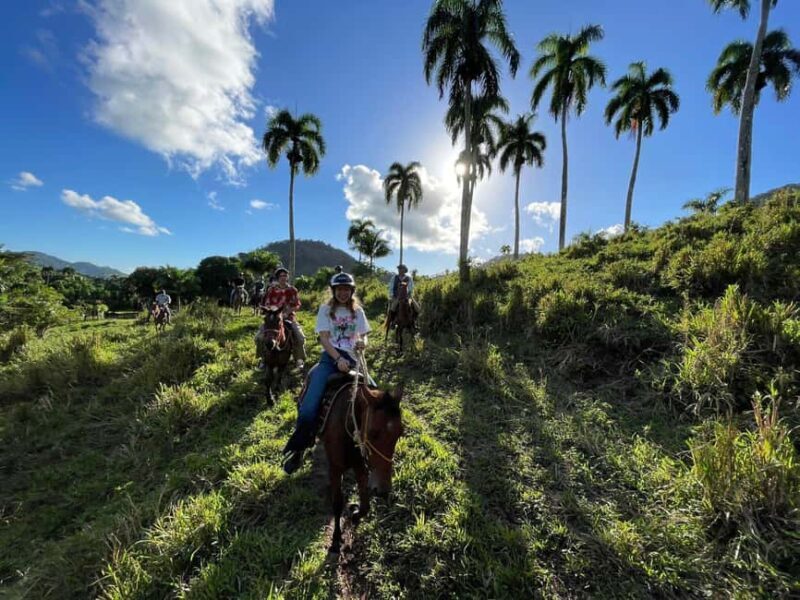 Private: Zip-Line & Horseback Combo in Puerto Plata - Comparing with Similar Experiences