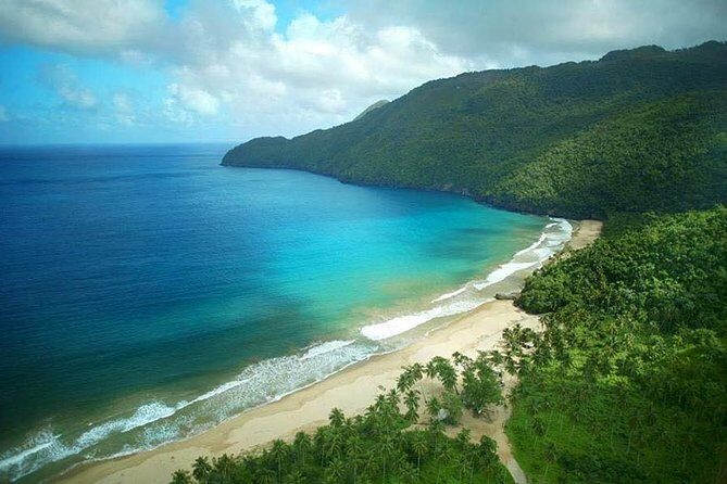 Private Zip - Line Samana with Playa El Valle Lunch and Expert Local Tour Guide - The Experience Provider: The Whales Las Ballenas