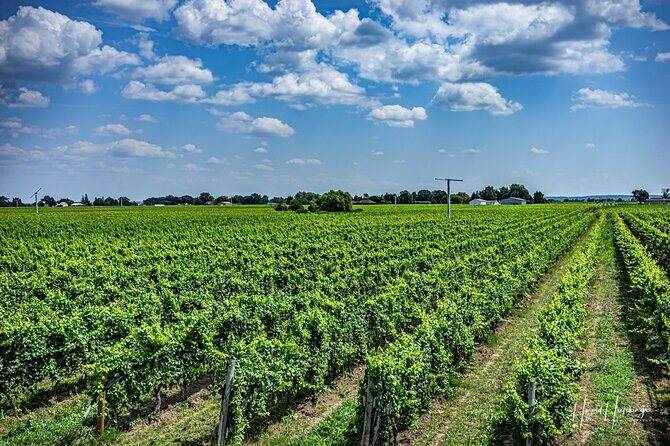 Private,Custom Niagara Escarpment-Scenic Boutique Winery Tasting Tour - Analyzing the Value & Experience
